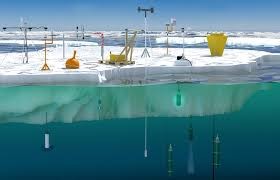 Webinar 27 November - Marine Arctic Data Portal - INTERACT