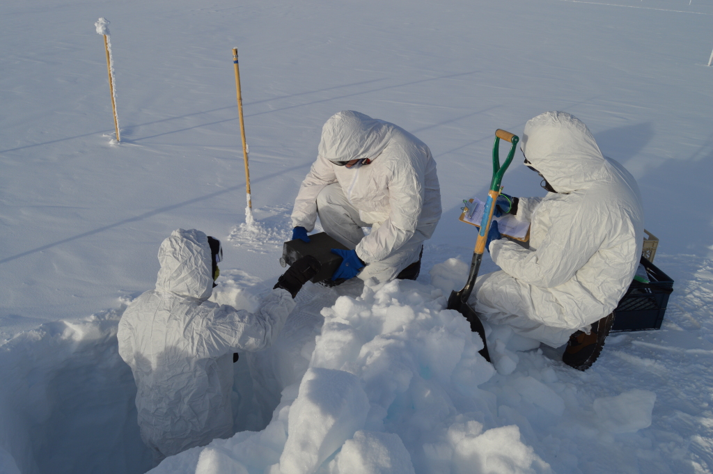 Improving data interoperability in the Arctic - INTERACT