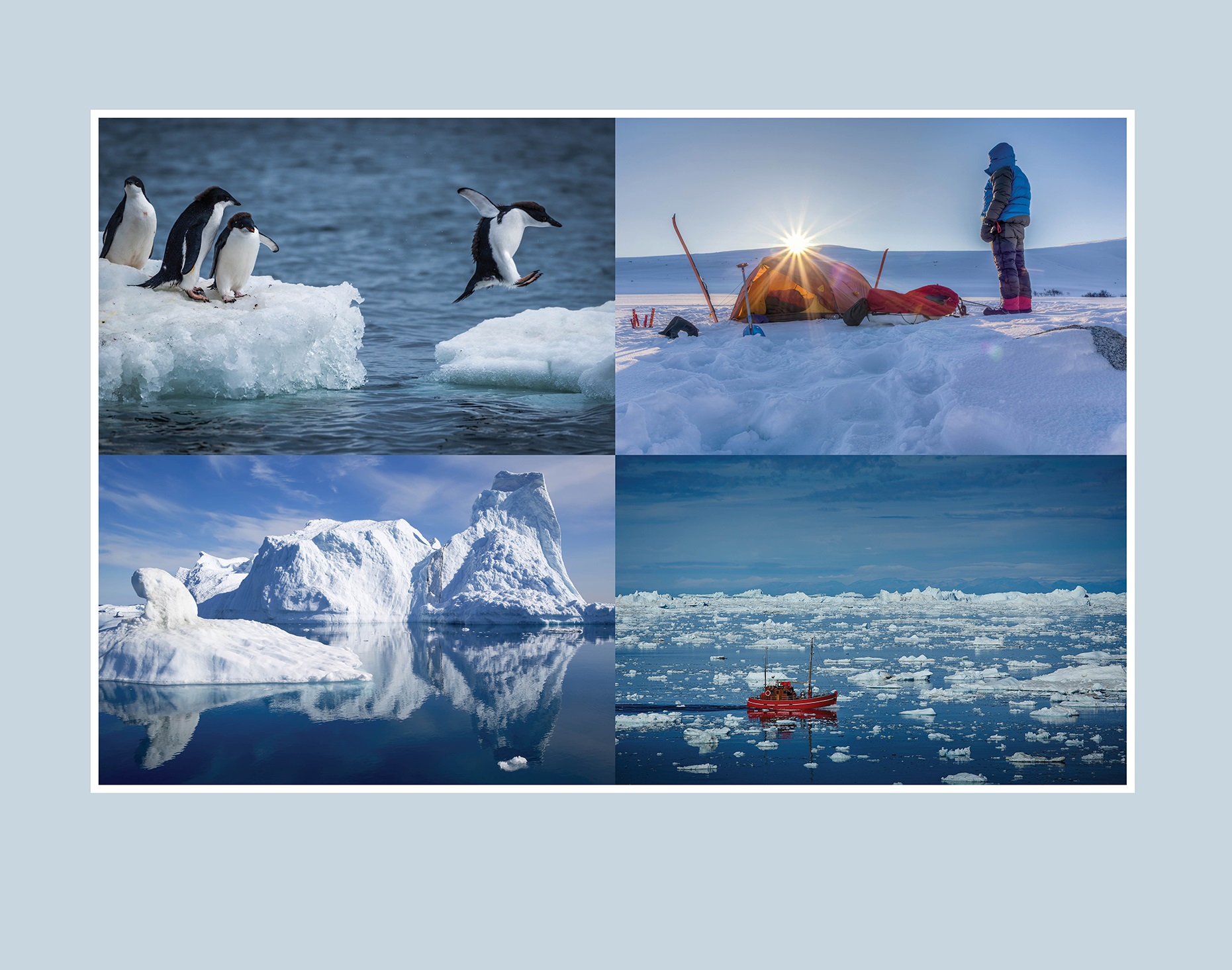 International access to research infrastructure in the Arctic - INTERACT